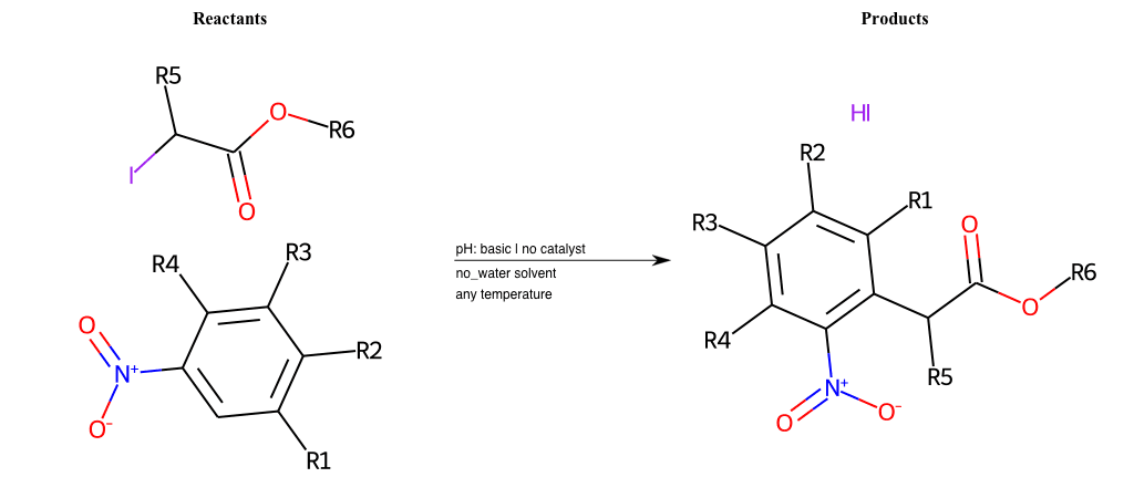 Nucleophilic Aromatic Substitutions